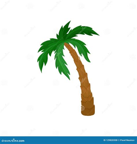 Big Palm Tree With Green Leaves And Brown Trunk Natural Landscape