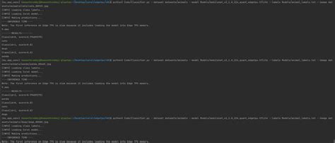 Wrong Results After Deploying Keras Model To Coral Dev Board Issue