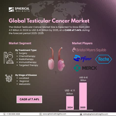 Testicular Cancer Market Size Growth Forecast Report 2035