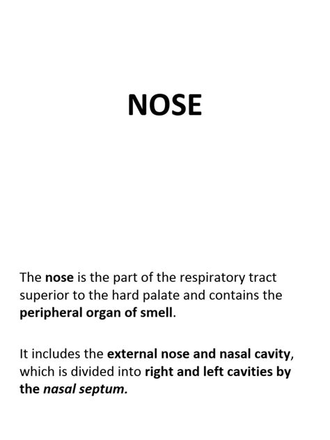 Respiratory System Part 1 Pdf Pdf Human Nose Face
