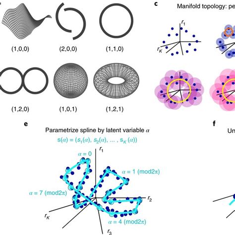 Toroidal Manifold In Simulated Grid Cell Activity Download