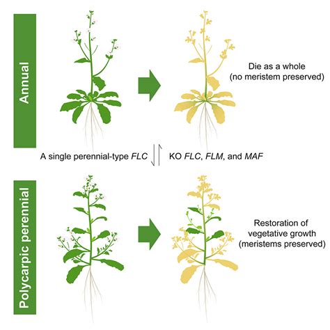 一周热闻回顾（2024年6月2日）—新闻—科学网