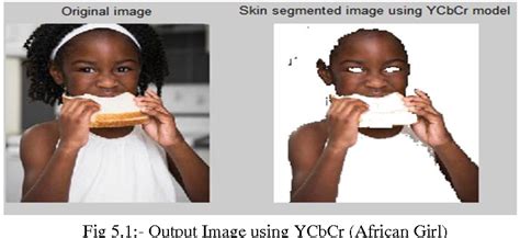 Figure 21 From Skin Segmentation Using Ycbcr And Rgb Color Models