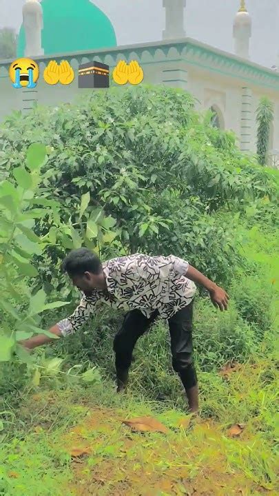 হে আল্লাহ কবরবাসীর আজাব মাফ করে দেন কবরবাসীকে জান্নাতের বাগান বানিয়ে দেন 🤲🕋🤲 Youtube