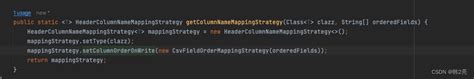 Java Opencsv自定义列标题和列位置java Opencsv 自定义列表标题和位置 Csdn博客