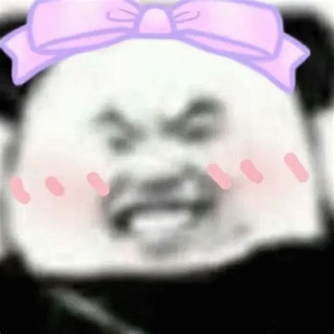 害羞 熊猫头戴着粉蝴蝶结，脸颊泛红，表情凶狠超搞笑表情包图片动图 求表情网斗图从此不求人