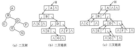 二叉树的链式存储结构 软考在线