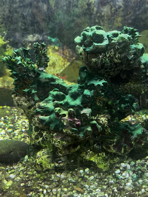 How Do I Fix This Amd Keeps Uninstalling Adrenaline R Amdhelp