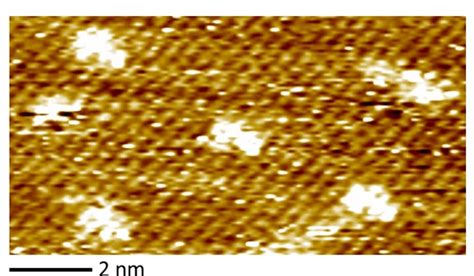 Electrochemical Scanning Tunneling Microscopy Of Sulfonate Terminated Disulfide Molecules