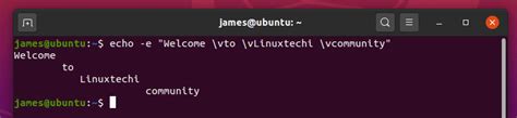 16 Echo Command Examples In Linux
