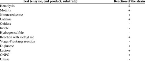 Biochemical Characterization Of The Isolated Bacteria Download