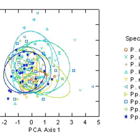 Graph Of PCA Axes And By Species Download Scientific Diagram
