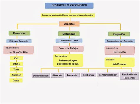 Conociendo El Desarrollo Psicomotor De Nuestros Niños Esquemas