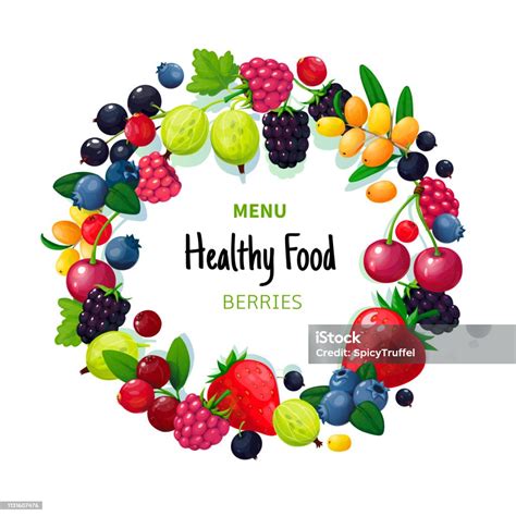 신선한 유기농 여름 딸기와 과일 딸기 블루베리 구 베리 블랙베리 라즈베리 건강에 좋은 음식 비 건 카페 벡터 개체 그룹에 대한 스톡 벡터 아트 및 기타 이미지 Istock