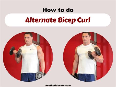 Alternate Bicep Curl Biceps Exercise Aestheticbeats