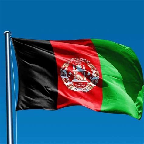 جان جان افغانستان