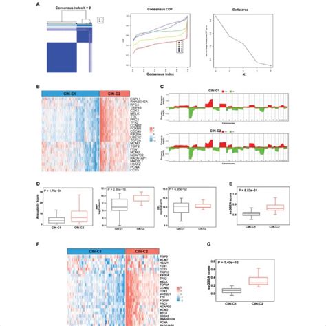 Cin25 Signature Based Classification Of Ccrccs A Consensus Download Scientific Diagram
