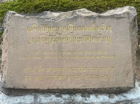 Prince Jindal On Linkedin 🖊️📝 ️world Refugee Day 20 June📖📋📓 🚵🚵🚵🌾 “the Earth Is The