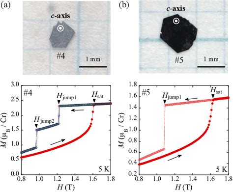 Figure 4 From Surface Barrier Effect As Evidence Of Chiral Soliton Lattice Formation In Chiral