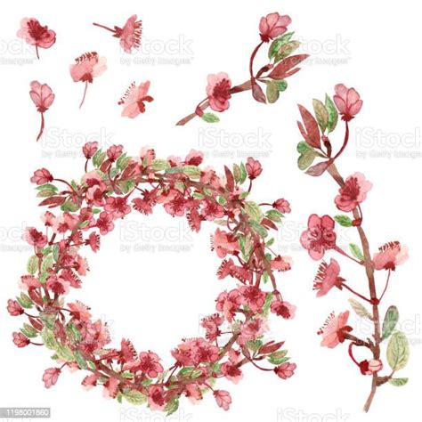 수채화 손으로 그린 자연 꽃 요소 핑크 사과 꽃과 녹색 잎 화환 가지와 꽃잎 컬렉션 디자인에 대 한 흰색 배경에 고립 된 설정 Political Party에 대한 스톡 벡터