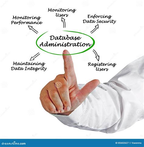 administration of database for software programmer workflow integrated development environment