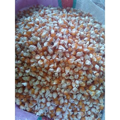 Jual 1kg Jagung Pakan Merpati Shopee Indonesia