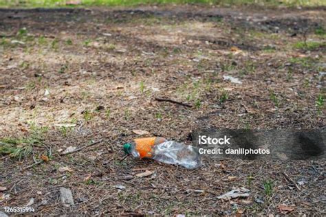 식물 중 숲에서 플라스틱 병 모든 곳에서 자연에 독성 플라스틱 식물 중 공원에서 쓰레기 더미 오염된 토양 환경 오염 생태학적 문제 어디서나 쓰레기를 버리라 거절에 대한 스톡
