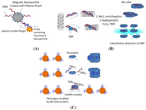 Chemosensors Free Full Text Toward Non Enzymatic Ultrasensitive Identification Of Single
