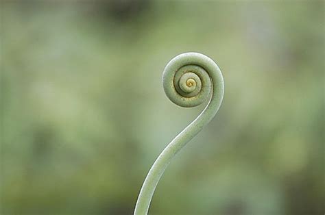 Photo Tip Of The Week How To Boost Your Creativity Australian