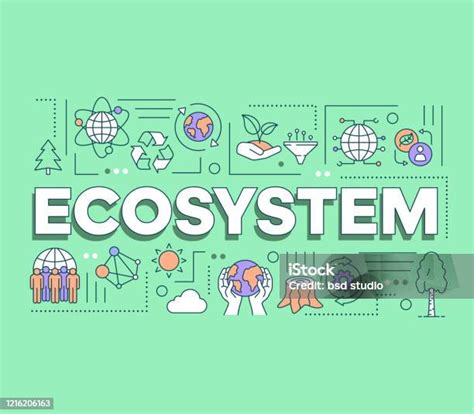 생태계 단어 개념 배너 프리젠 테이션 웹 사이트 지속 가능한 생활 자연과 야생 생활의 보호 선형 아이콘과 격리 된 문자 타이포그래피 아이디어 벡터 개요 그림 0명에 대한