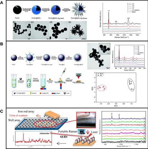 a highly branched flower like fe3o4 sio2 ag nano hybrid for bacteria