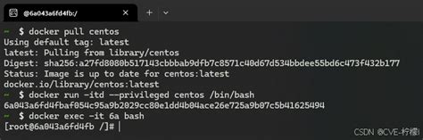 [docker逃逸] privileged 特权模式逃逸复现 csdn博客