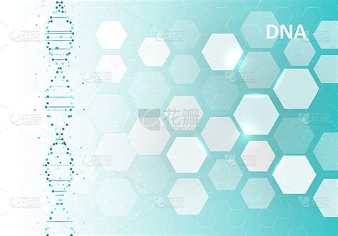 大基因组数据可视化