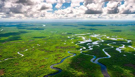 Everglades National Park Florida Subtropical Excursion Guide