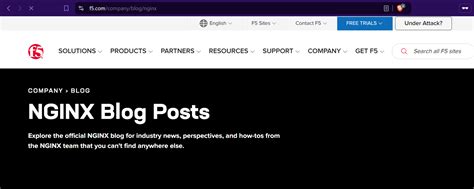 How To Make Playwright Scraping Undetectable Scrapingant