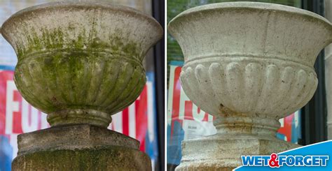 6 Places Where Wet Forget Outdoor Annihilates Algae Stains Life S Dirty Clean Easy