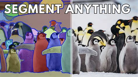 Live Coding With Segment Anything Model Youtube