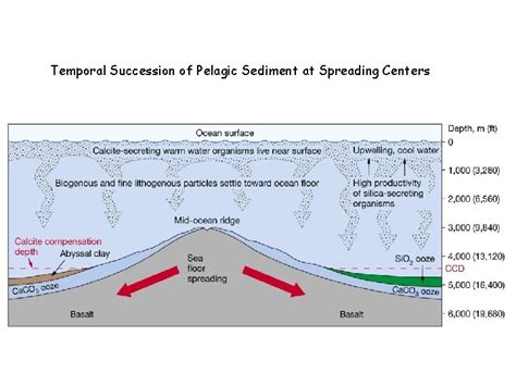 CHAPTER Marine Sediment Classification A Shape Size