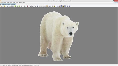 Cutout Lab Getting Rid Of Border Around Image Cutout Corel Photo