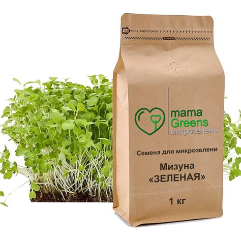 Семена Мизуна Зеленая 1 кг - весовые семена для выращивания микрозелени ...