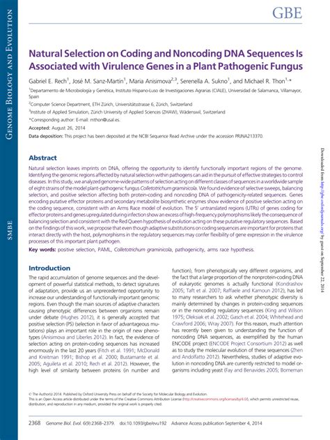 Pdf Natural Selection On Coding And Noncoding Dna Sequences Is