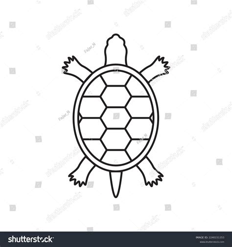 Turtle Shape Design Turtle Line Vector Stock Vector Royalty Free Turtle Shape Design Turtle Line Vector Stock Vector Royalty Free
