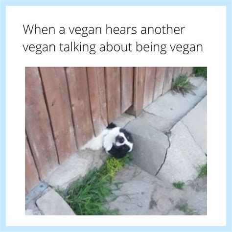 16 Relatable Funny Vegan Memes To Share VegNews