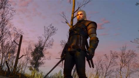 巫师3：狂猎 稳定战斗动画 Mod V1 下载 3dm Mod站