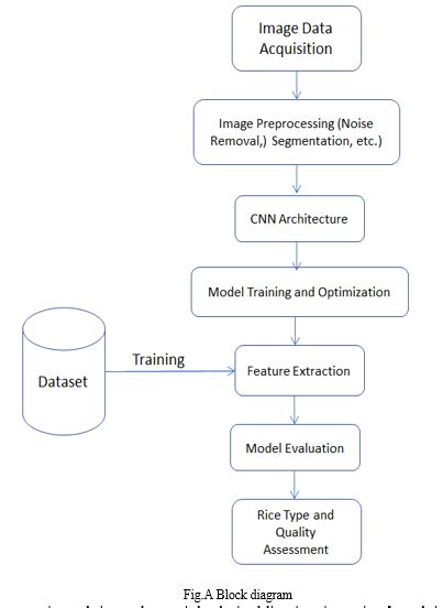 Rice Grains Detection Classification And Quality Prediction Using