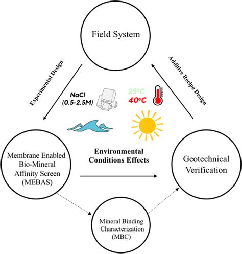 A Schematic Representing The Mebas Mbc Gv Methodological Pipeline For Download Scientific