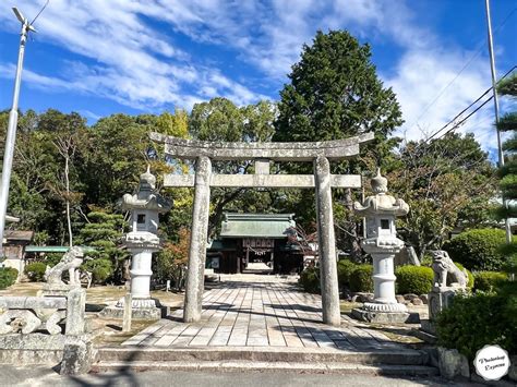 黒柏鶏の闊歩する神社 LIFE is medaka