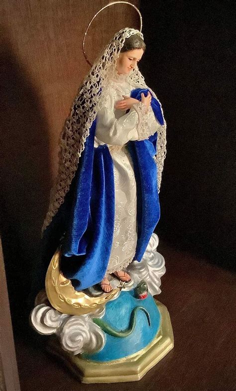 Virgen Maria Jalostotitlan Manto De La Virgen Virgen De Guadalupe Mexico