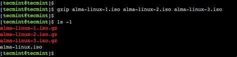 10 Exemples De Commandes Gzip Compress Files In Linux Tech Tribune
