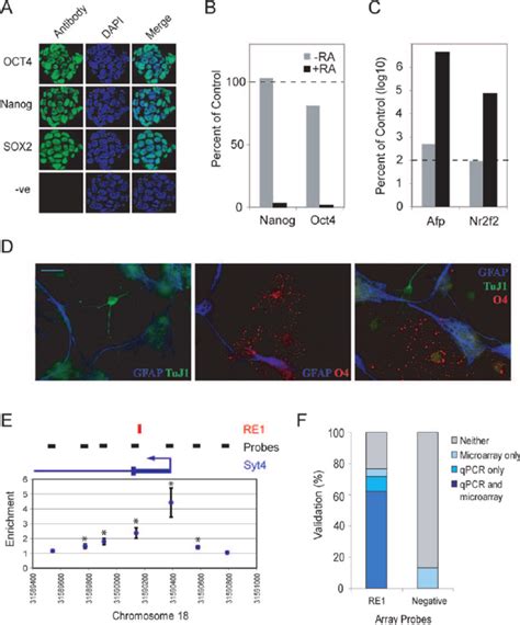 Validation Of Stem Cell Potency And Microarray Sensitivity A Mouse